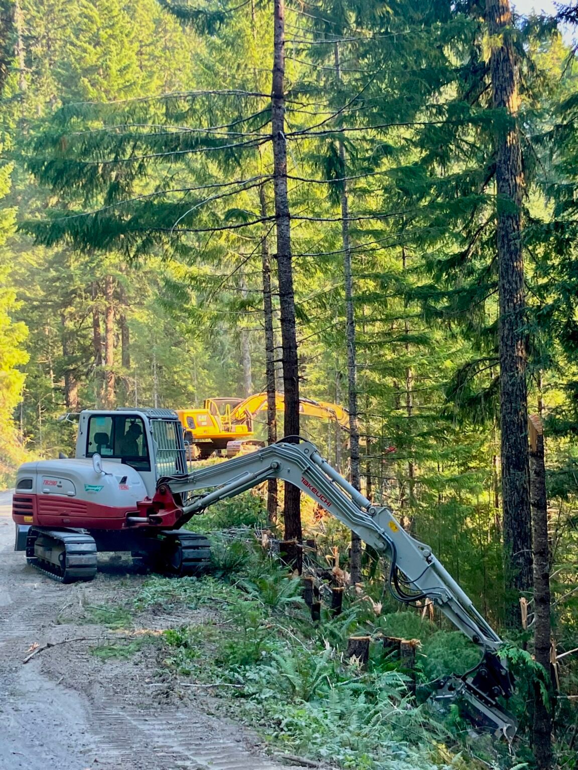 Forestry & Arborist Services in Central Oregon - Axe Contracting